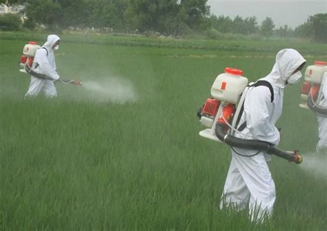 农药滴滴涕对水污染有多严重 —【发财农业网】