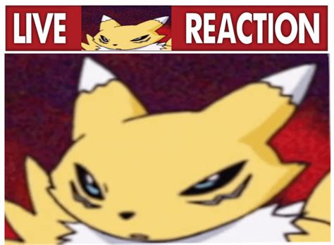 Live Renamon Reaction Rdigimon