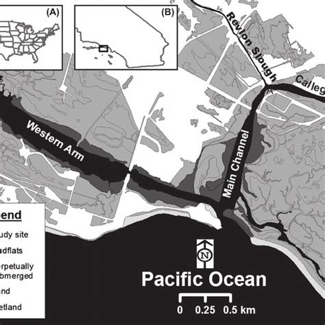 Schematic Of A Sediment Peeper And How Pore Water Profiles Are