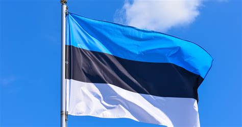 Вид на жительство ВНЖ в Эстонии как получить гражданство Эстонии визы — Tranio Ru