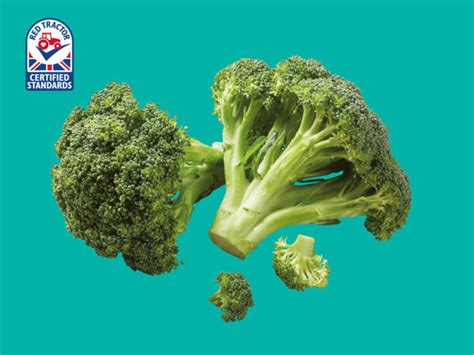 Broccoli Lidl Great Britain Specials Archive