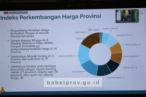 Mendagri Berikan Arahan Terkait Pengendalian Inflasi Provinsi