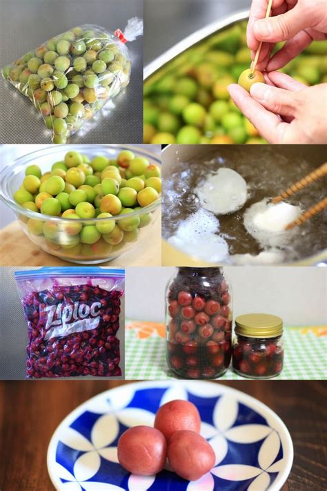 カリカリ梅を作ろう！ カリカリ梅 作り方 料理 レシピ 梅 レシピ