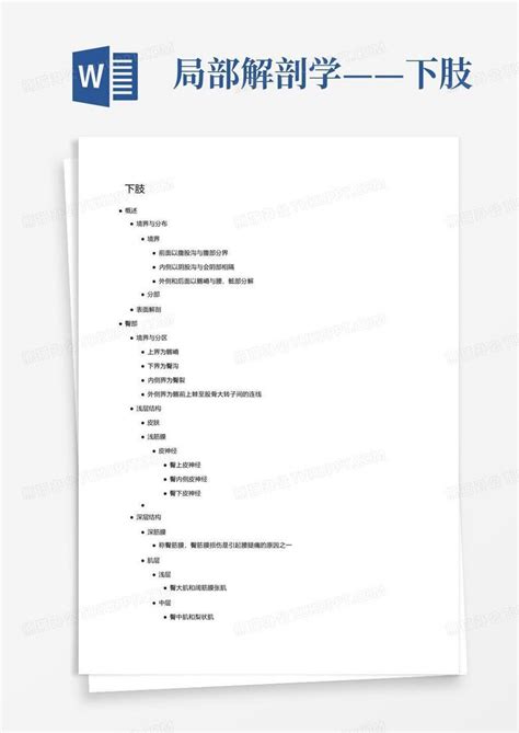 局部解剖学下肢Word模板下载 编号qgboppzw 熊猫办公