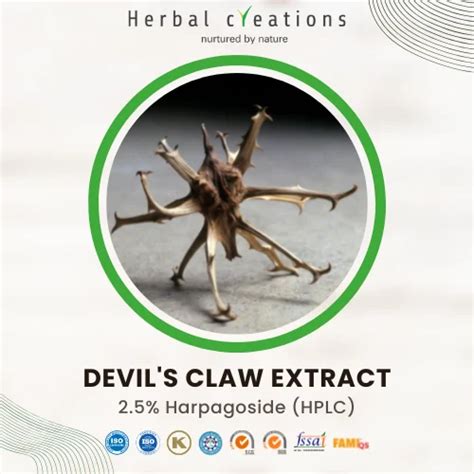 Devilsclawextract Packaging Type Hdpe Drum Packaging Size 25 Kg At