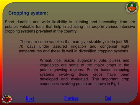 Ppt Efficient Cropping System For Potato Cultivation In Intensive