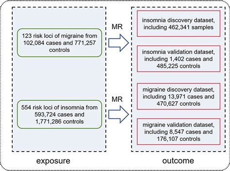 Exploring Causal Relationship Between Migraine And Insomnia Jpr