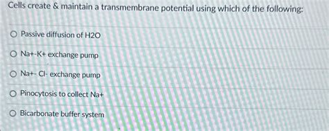 Solved Cells Create And Maintain A Transmembrane Potential
