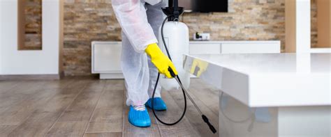 Why Choose Unicare Services For Pest Control Services In Chennai