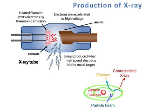 Ppt X Ray Absorption In A Gem Production Of X Ray X Ray Absorbsion
