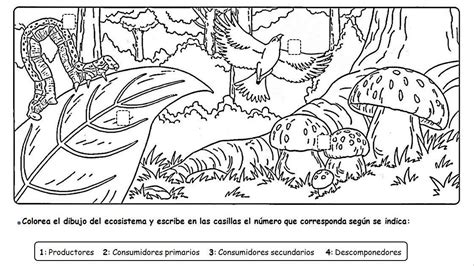 Ecosistema Dibujo Para Colorear Magrup My Xxx Hot Girl