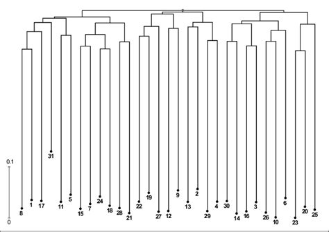 Neighbor Joining Cluster Based On Issr Markers Numbers Nos 1 To 30