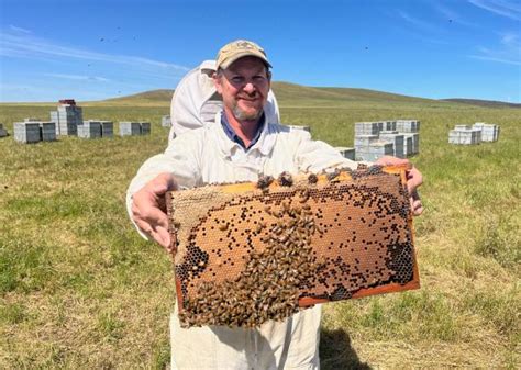 Plea To Keep Sa Bees Varroa Mite Free Plains Producer