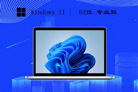 挑选最适合您的win11系统版本：哪个最实用？系统教程系统世界