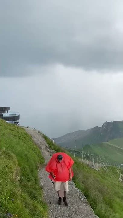 کویستانی ئالپ مه هاباد مهاباد کوردستان ناصر تاشکه Youtube