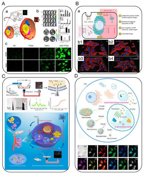 Biosensors Special Issue Trends And Perspective Of Advanced Nanotechnology For Bio Sensing