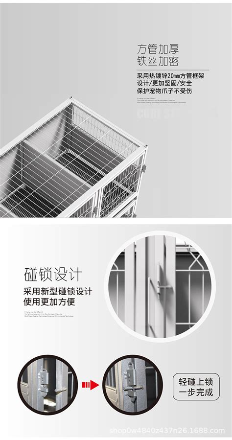 小胖子笼具宠物店寄养笼狗展示柜猫咪寄养柜玻璃展示笼隔离繁育笼 阿里巴巴