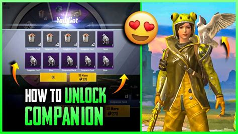How To Unlock Companion In Pubg Mobile Lite Falcon In Pubg Lite Combat Guruji Youtube