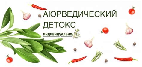 Йоги чай (Yogi tea) | YogaStudio.by