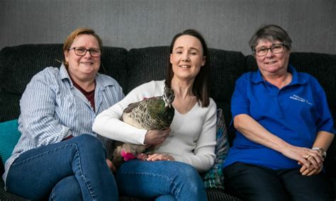 Public Asked To Stop Feeding Pittencrieff Park Peacocks At Cafe