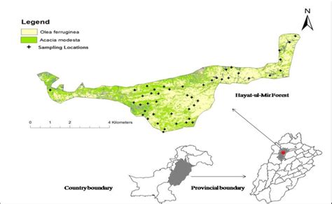 Spatial Distribution Of Sampling Plots Taken In The Hm Forest Download Scientific Diagram