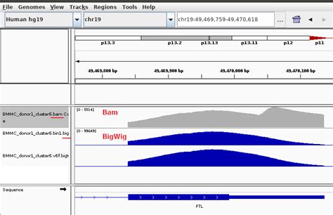 Deeptools Bam And Bigwig Peak Not The Same · Issue 1139 · Deeptools