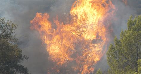 울시 화재 말리부 캘리포니아 포스트 화재 번트 마운틴 0명에 대한 스톡 사진 및 기타 이미지 0명 Woolsey Fire