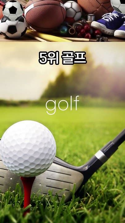 우리나라 사람들은 어떤 스포츠에 열광하나 가장 인기 있는 스포츠 Top 10 Shorts 축구야구수영배드민턴배구