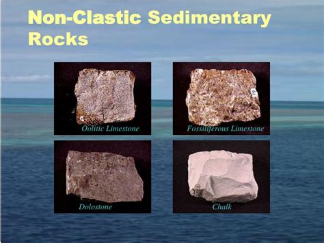 PPT Lithification Diagenesis PowerPoint Presentation ID 6329259