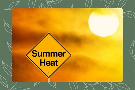 Heat Rash Causes Symptoms And Solutions