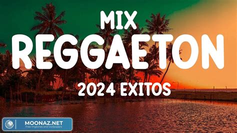 Remix De Reggaeton 2024 Lok Viva Michal