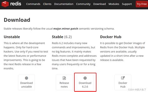 Linux下redis 626安装和部署详细图文步骤 Csdn博客