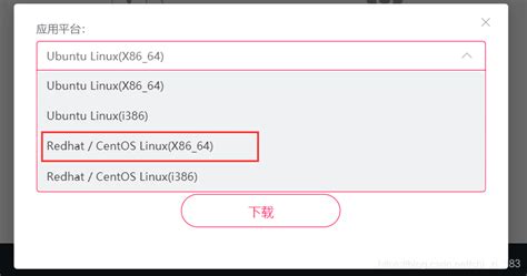 Linux服务器使用花生壳配置内网穿透 Csdn博客