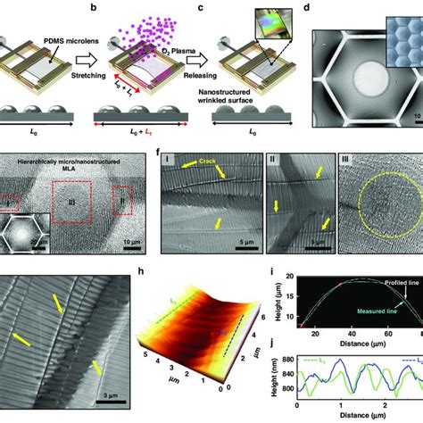 Hierarchical Nanostructured Wrinkles On The Pdms Based Microlens Download Scientific Diagram