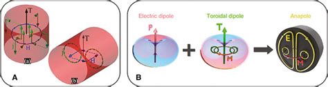 The Combination Of A Magnetic Toroidal Dipole Moment And An Electric