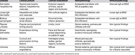 Biopsy Dermatitis Herpetiformis