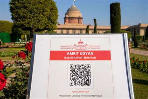 President Droupadi Murmu To Inaugurate ‘amrit Udyan The New Indian