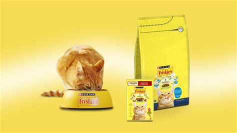 Friskies® - повнораціонний корм для котів | Purina