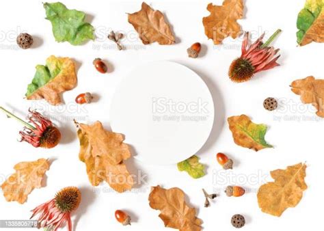 둥근 프레임과 떨어지는 마른 참나무와 단풍 나무 잎과 가을 구성 가을 가을 추수 감사절 개념 플랫 레이 공간을 복사합니다 흰색 배경에 대한 스톡 사진 및 기타 이미지