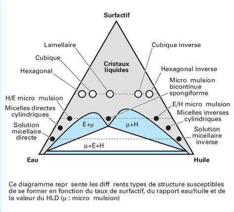 Diagramme De Phase Idéalisé De Type Winsor Iii Download Scientific