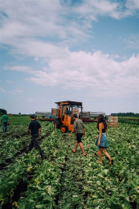 Loop Mission Linkedin