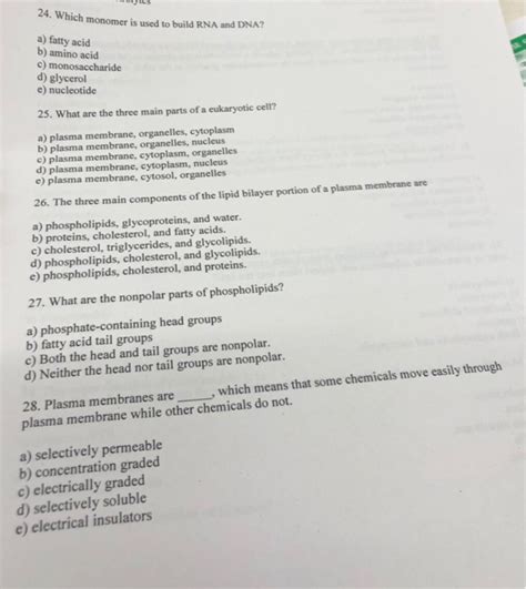 Solved 24 Which Monomer Is Used To Build Rna And Dna A