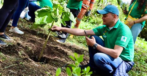 Jornada De Plantación De árboles En El Humedal La Conejera En Bogotá