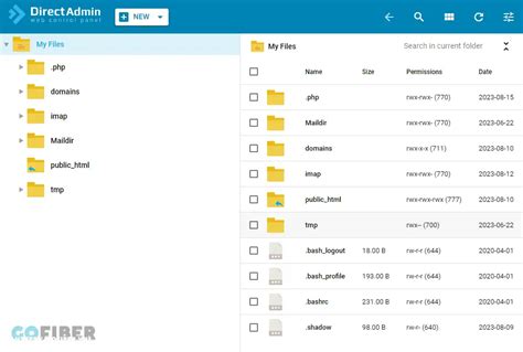 Hướng dẫn sử dụng và quản lý File Manager trong DirectAdmin