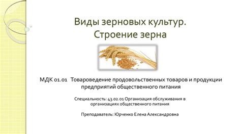 Виды зерновых культур Строение зерна презентация онлайн