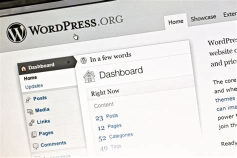 Hire Wordpress Developer Usa Europe