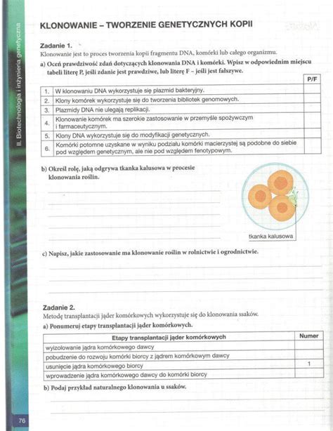Potrzebuję odpowiedzi na te pytania Brainly pl