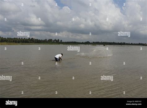 Fisherman Throws Net Into The Water Stock Photo Alamy