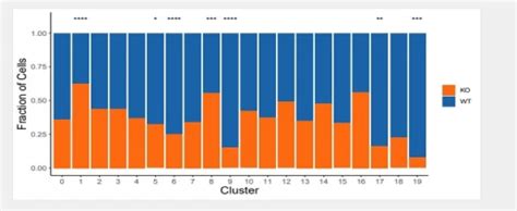 Nature级别的单细胞细胞比例柱状图咋画？一文拿捏！ Sci论文 科研 研究生 生信分析热 哔哩哔哩