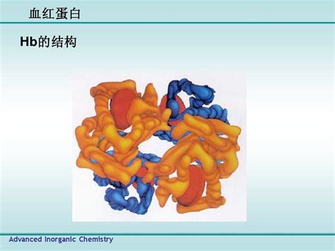 高等无机化学 血红蛋白和肌红蛋白word文档在线阅读与下载无忧文档